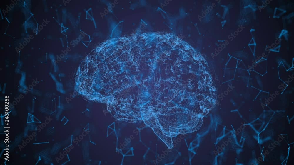 brain animation, data mining, in-depth study of modern computer ...