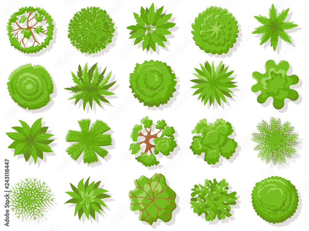 Top view plants. Tropical trees, green plant tree from above for aerial ...