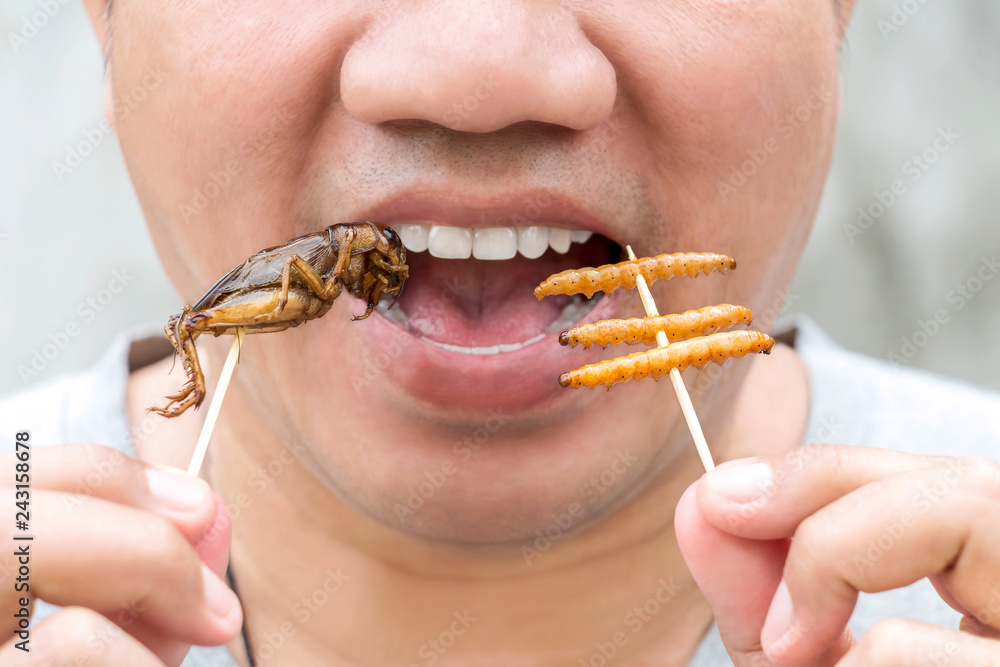 Man happy opening his mouth eating Bamboo Worms and Crickets insect ...