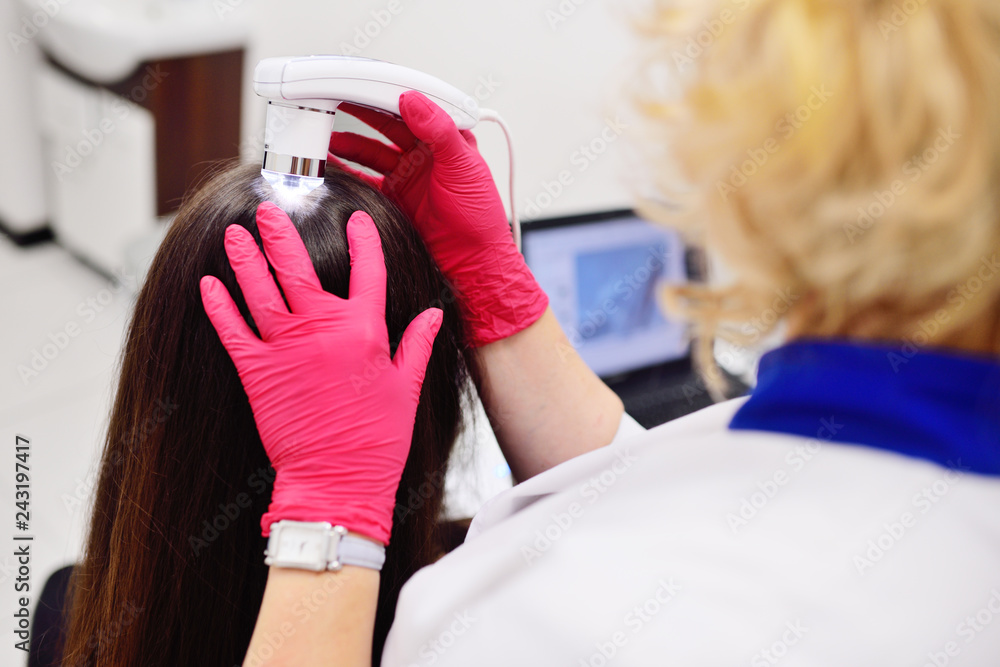 doctor dermatologist diagnoses the structure of the hair of a young ...