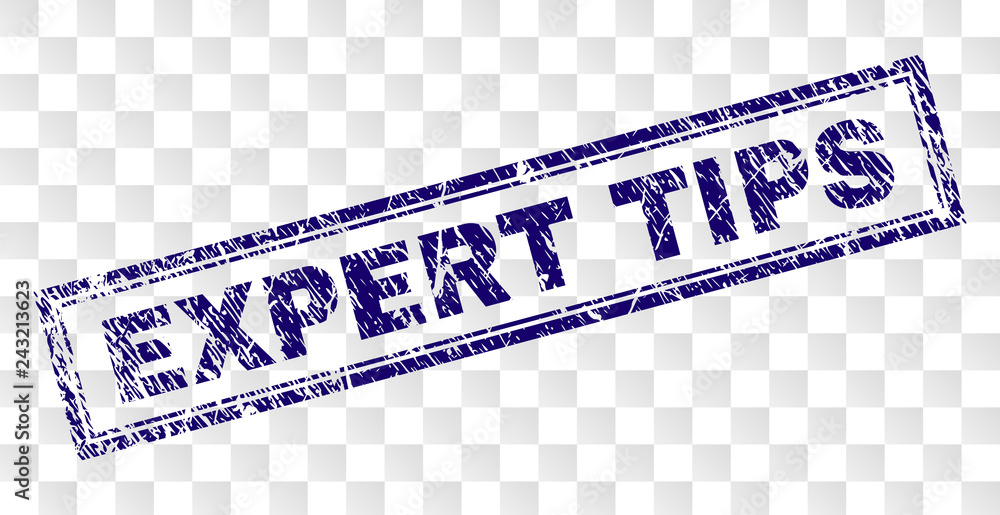 EXPERT TIPS stamp seal print with grainy style and double framed ...