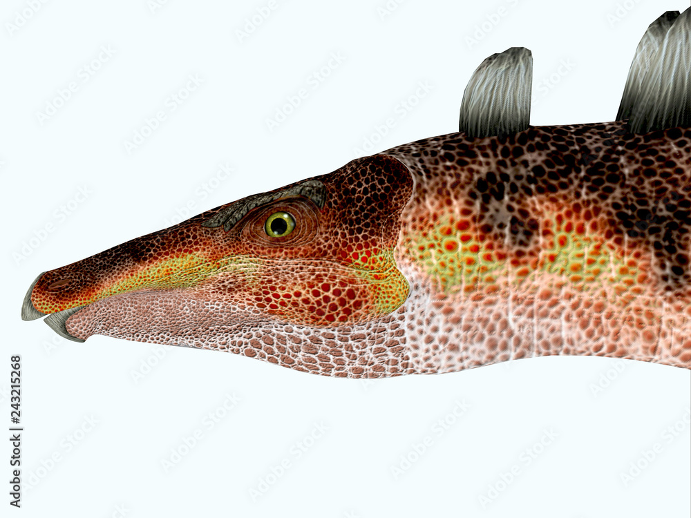 Kentrosaurus Dinosaur Head -Kentrosaurus was a heavily armored ...