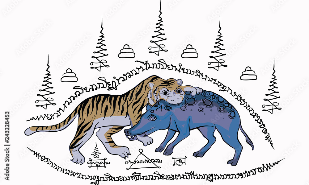 Wolf Fighting Tiger