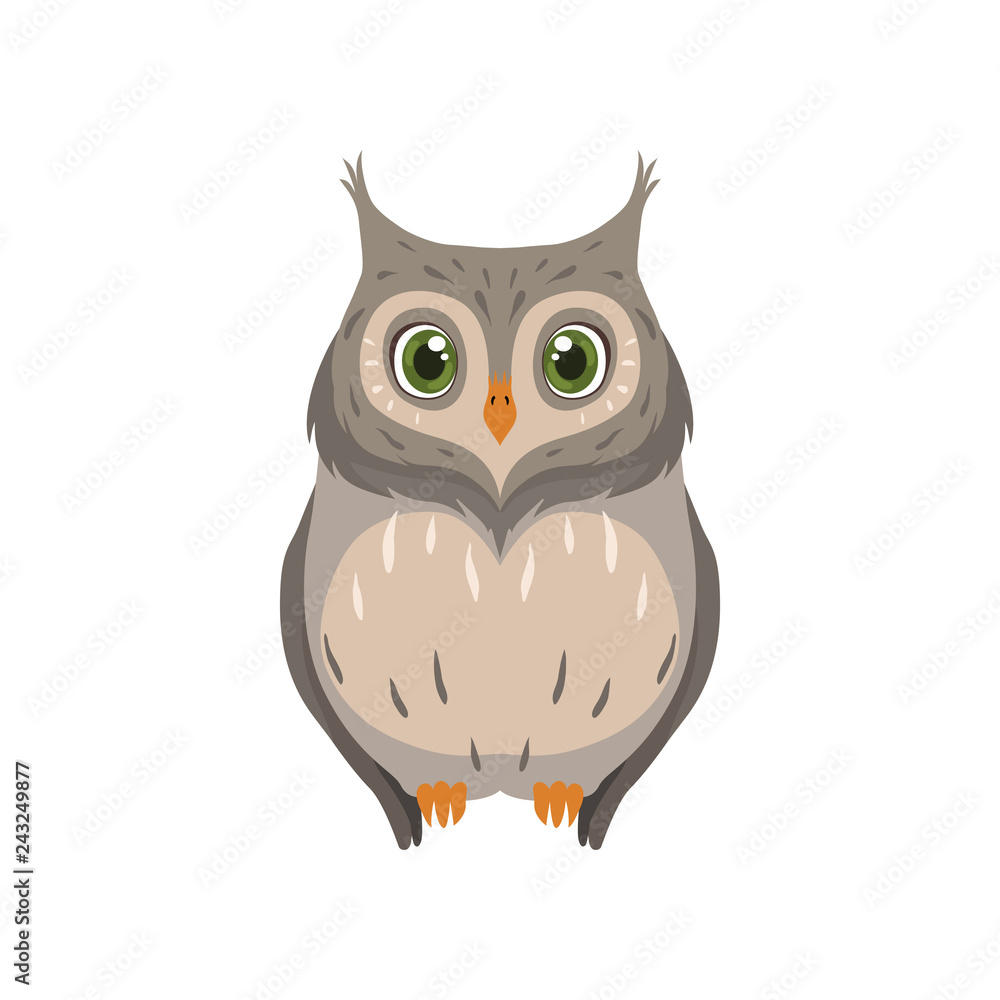 Cute owl, lovely bird cartoon character front view vector Illustration ...