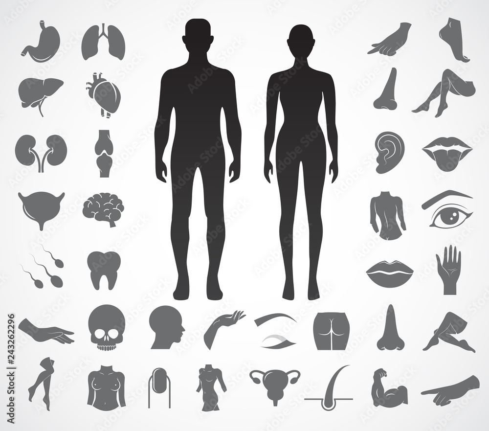Body parts vector icon set. Stock Vector | Adobe Stock