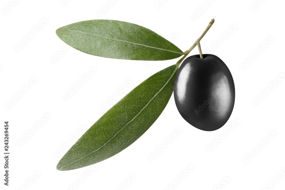 Single Black Olives
