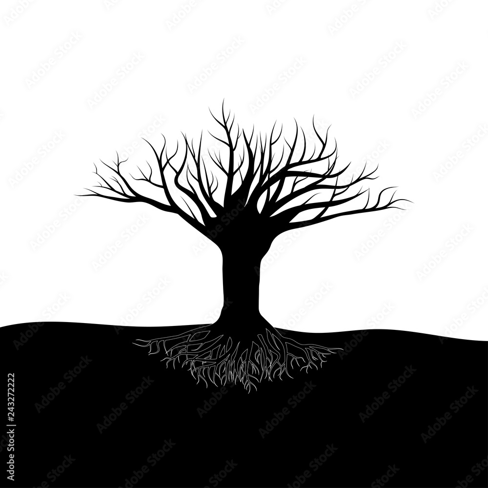 Black bare tree with roots in the ground on an empty background Stock ...