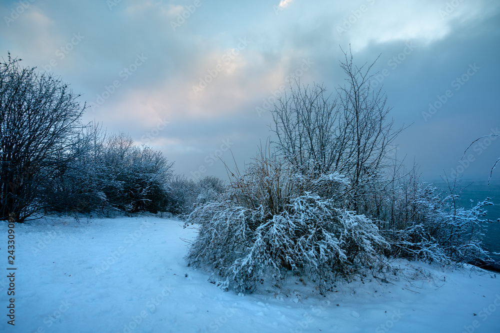 Winter wonderland Stock Photo | Adobe Stock