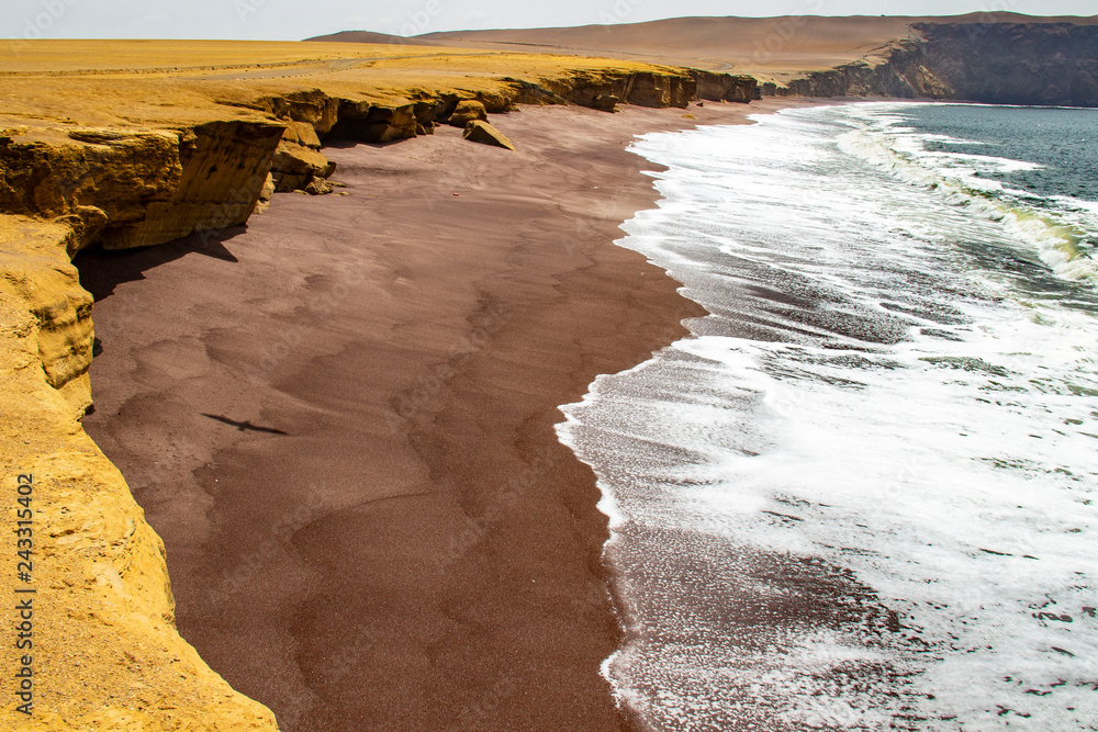Spiaggia, deserto, mare e animali nella riserva nazionale Paracas, Perù ...