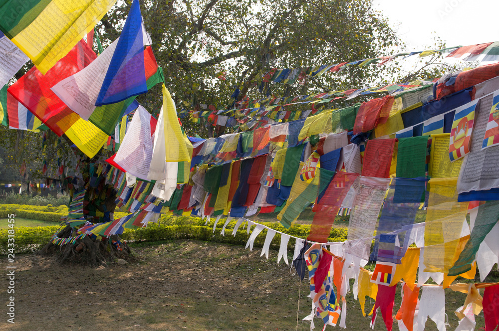 KATHMANDU - LUMBINI - INDIA - 29 FEBRUARY 2016 : Buddhists coming to ...