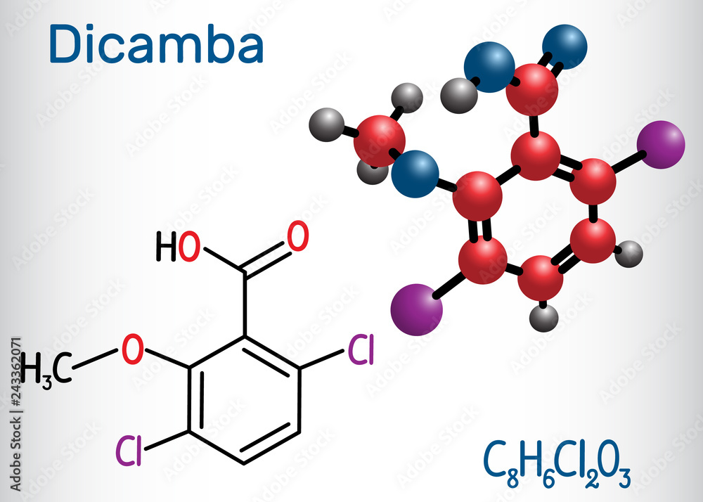 Dicamba molecule. Structural chemical formula and molecule model. Stock ...