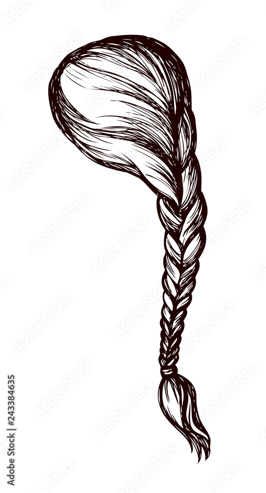Long braid. Vector drawing Stock Vector | Adobe Stock