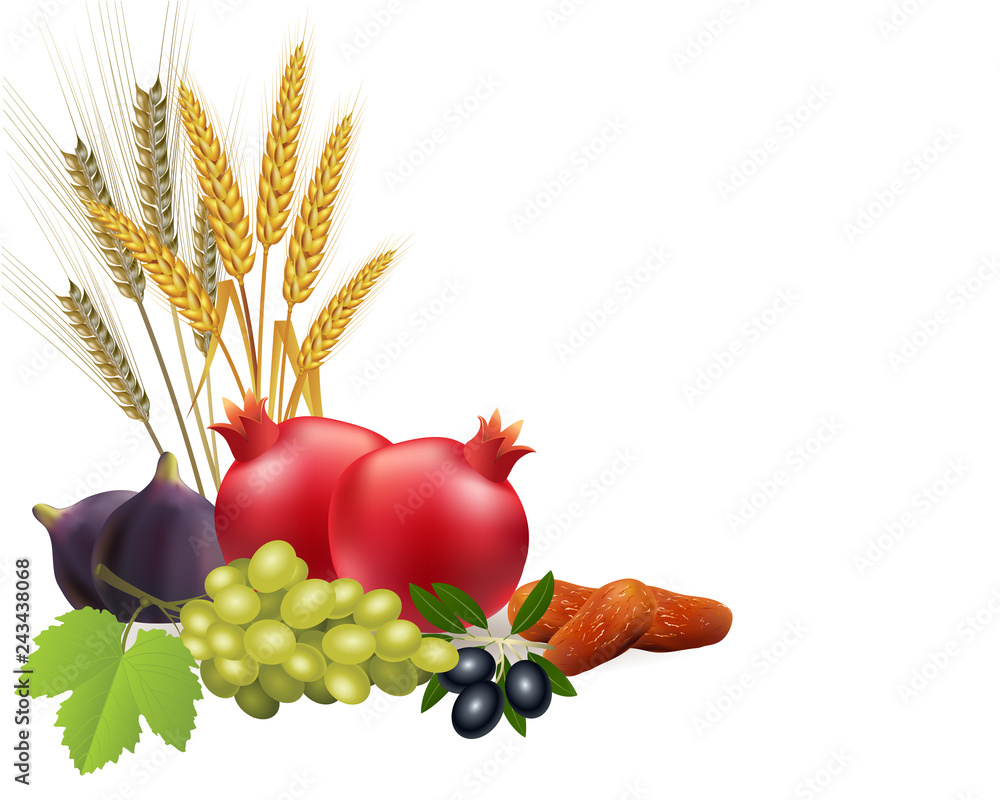 Poster Seven species of Israel – Wall Art | UkPosters