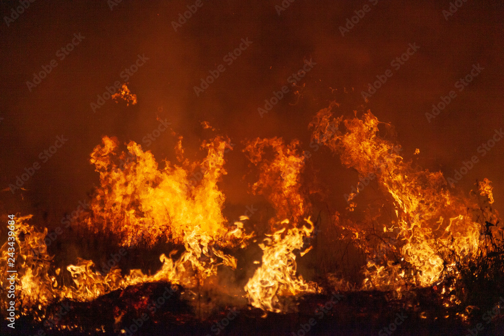 Extreme closeup of raging grass wildfire at night. Inspiration for ...