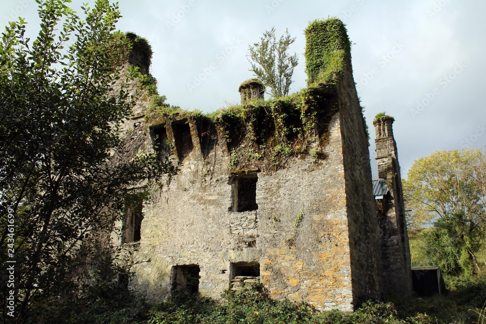 Durrus Court Castle west Cork Ireland Stock Photo | Adobe Stock
