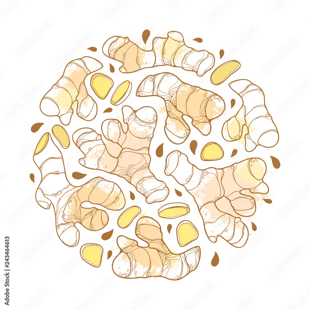 Vector round bunch of outline Ginger root with slice in pastel beige ...