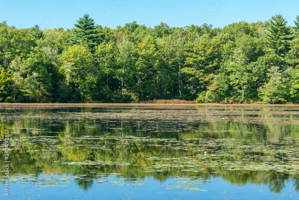 Leach pond in Borderland State Park Stock Photo | Adobe Stock