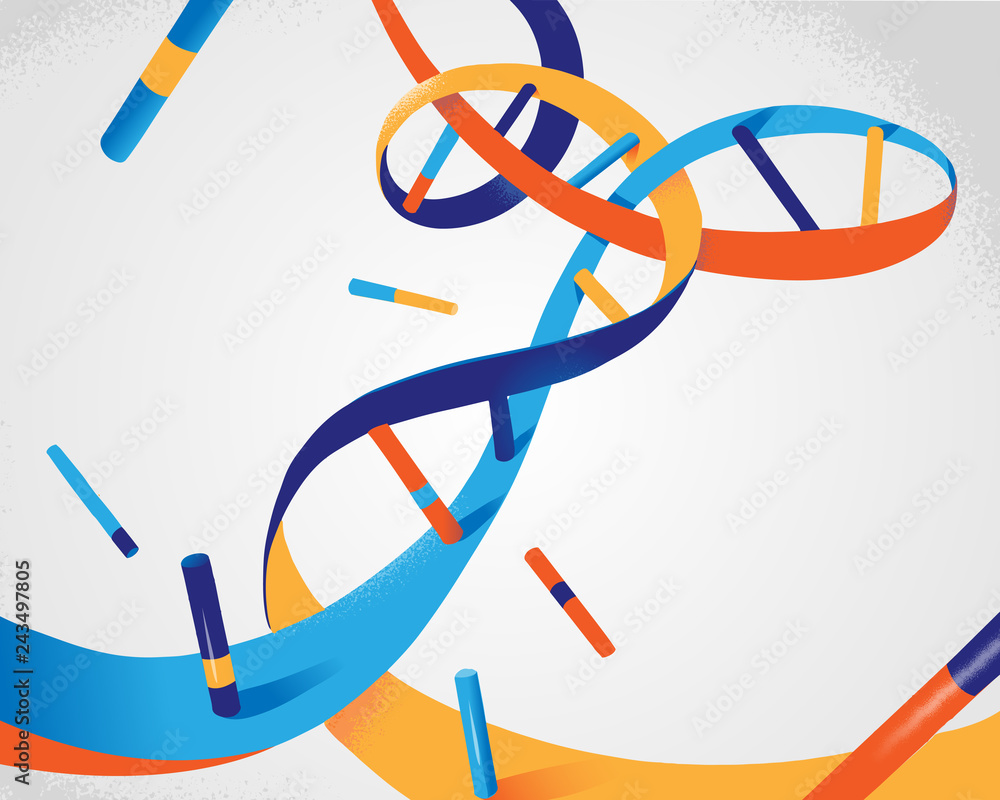 DNA Helix Stock Vector | Adobe Stock