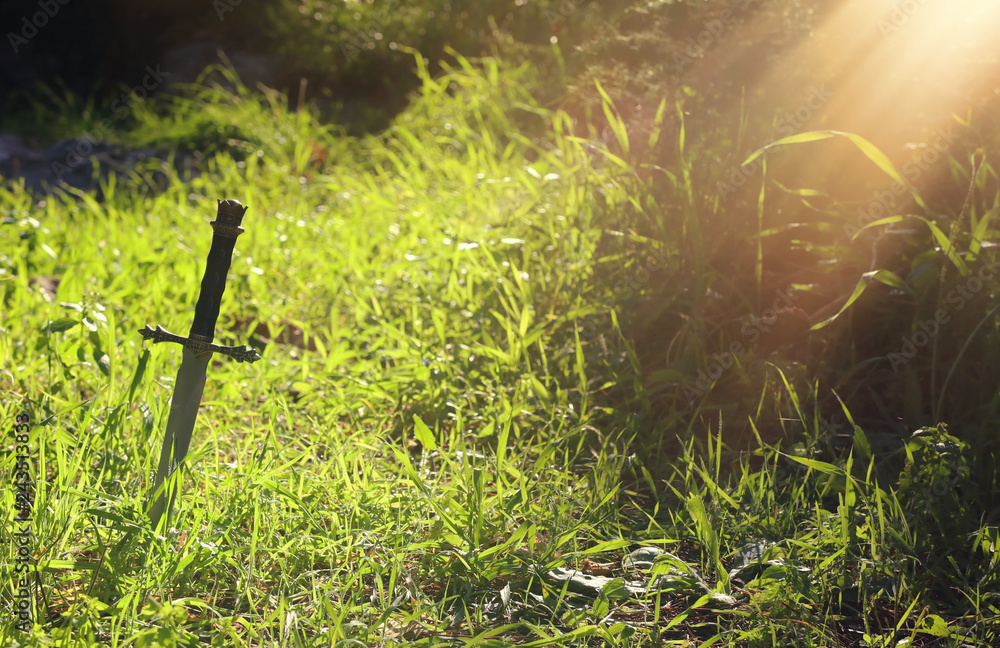 mysterious and magical photo of silver sword over England woods or ...
