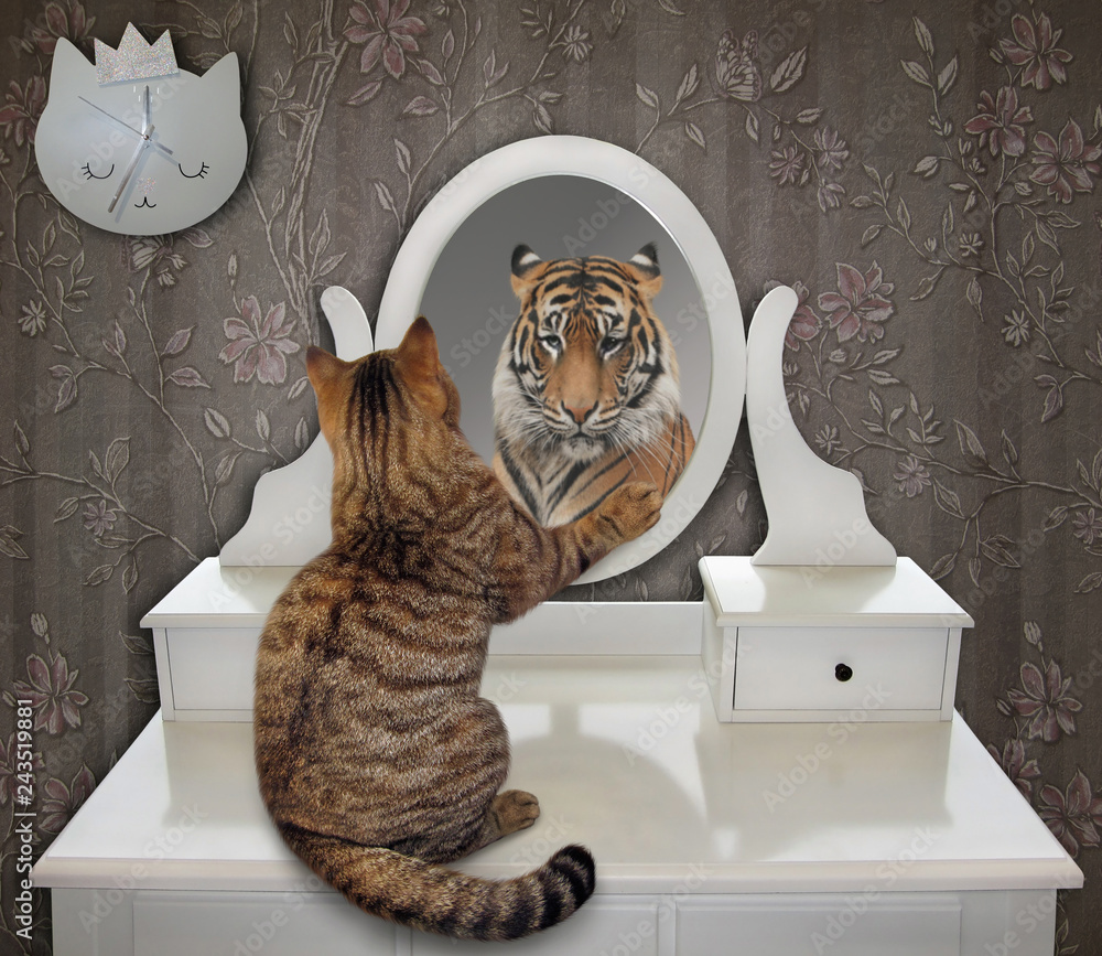 Reflection In Mirror Cat