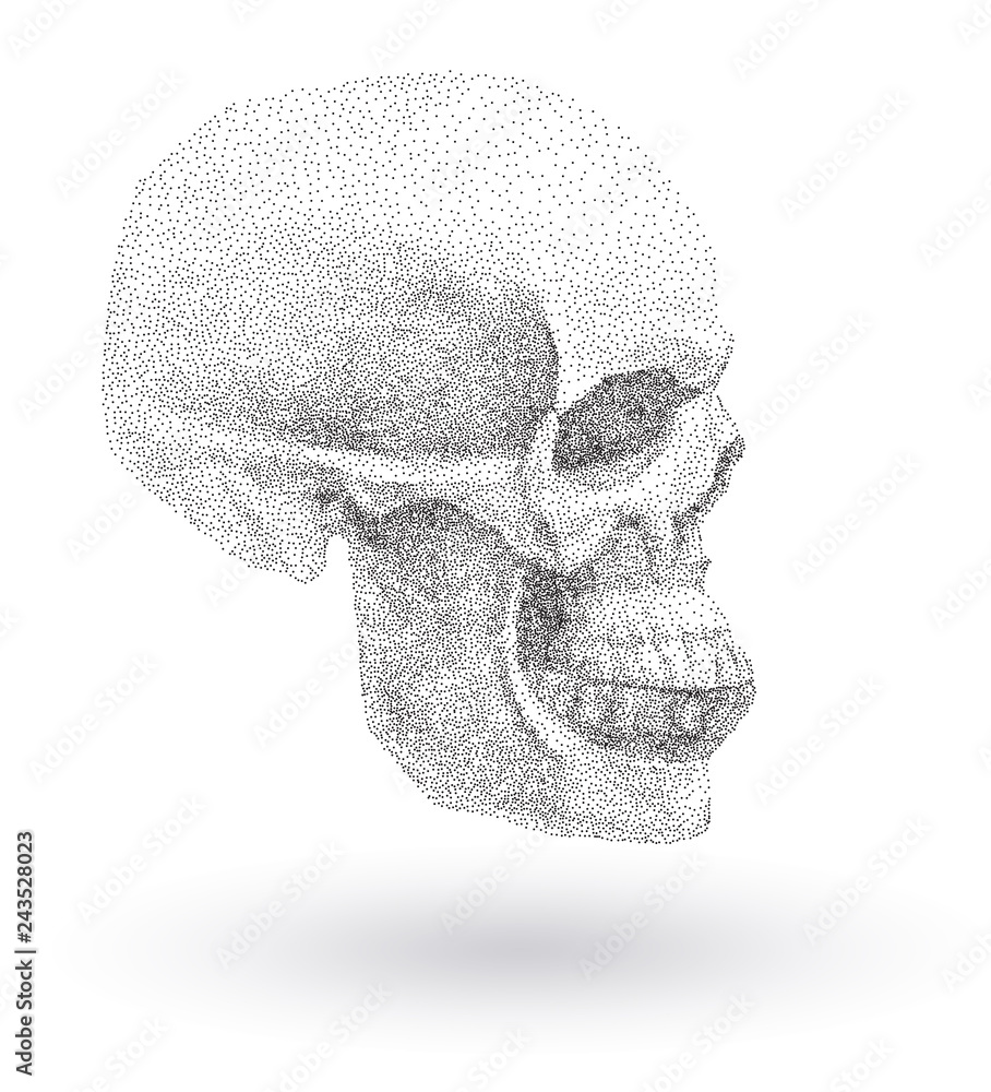 Skull in profile on white background.. Vector simple black points on ...