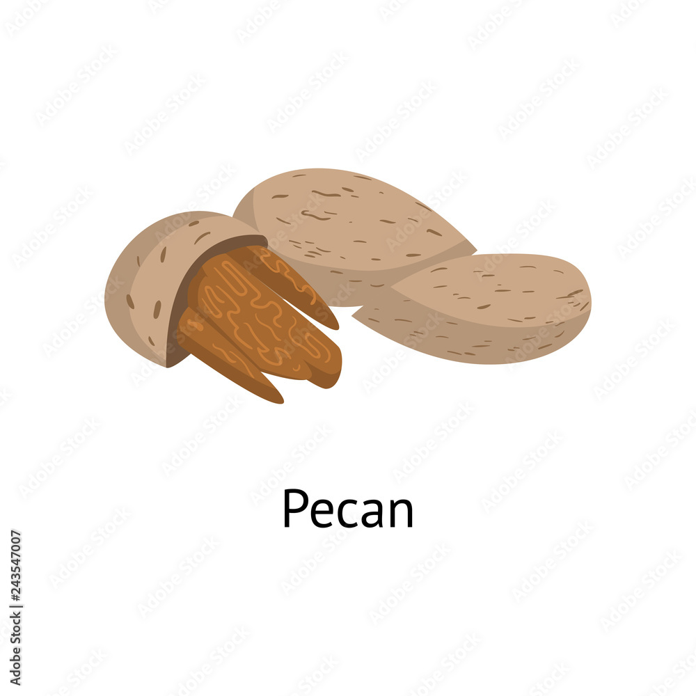 The fruit of the plant is a hard-shelled nut with an edible core. Stock ...