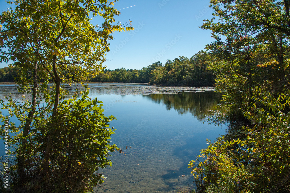 Leach pond in Borderland State Park Stock Photo | Adobe Stock