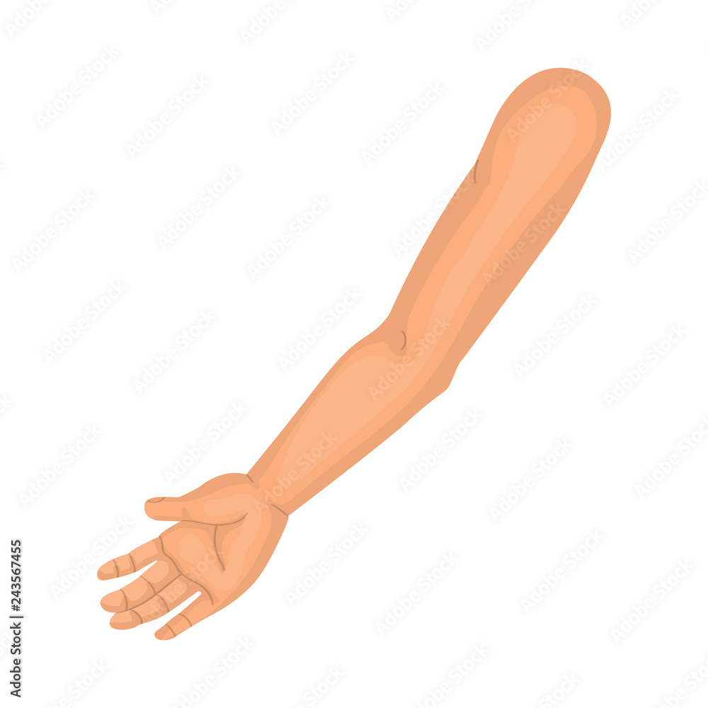 Vector illustration of body and part logo. Collection of body and ...