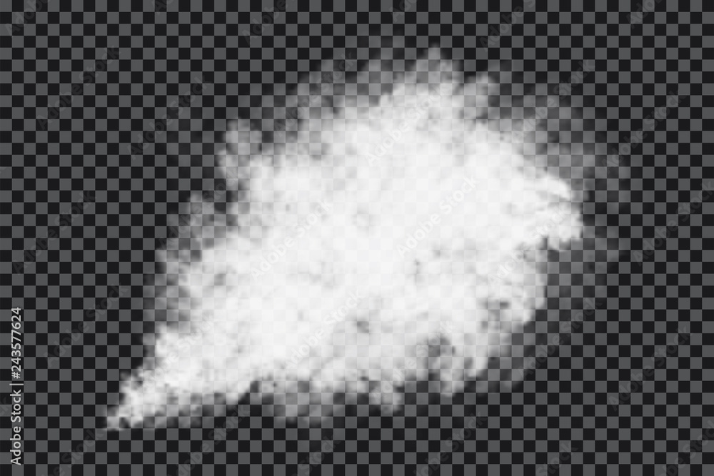 Smoke cloud on transparent background. Realistic fog or mist texture ...