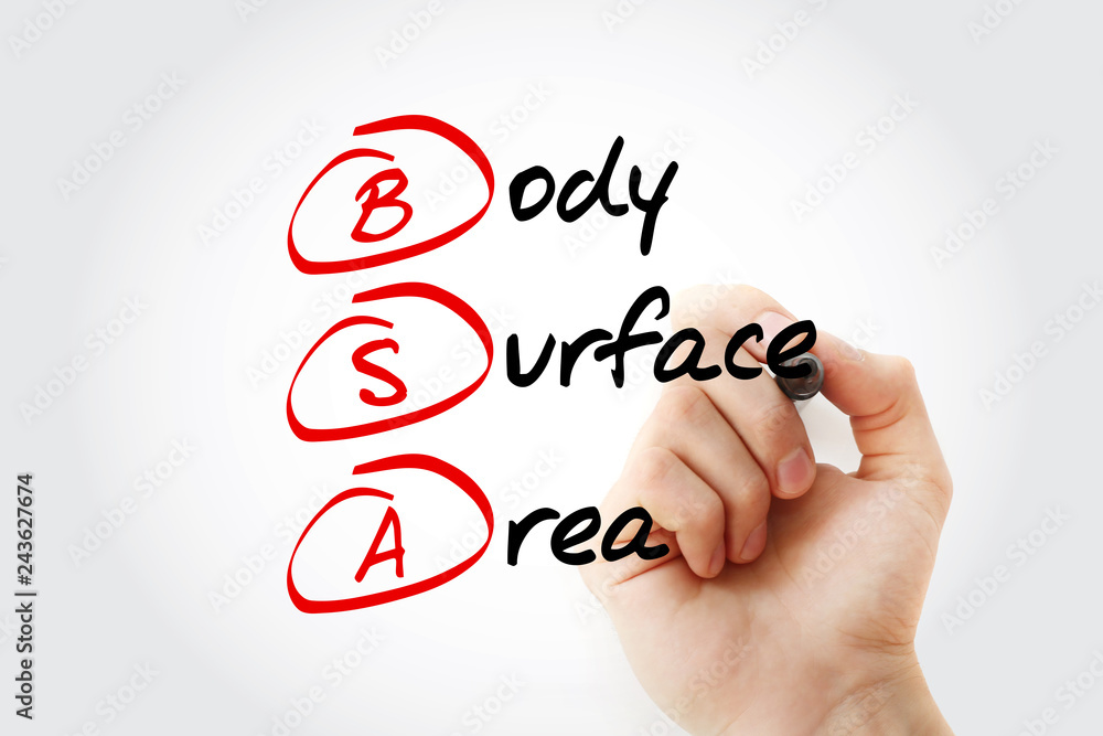 BSA - Body Surface Area acronym with marker, concept background Stock ...