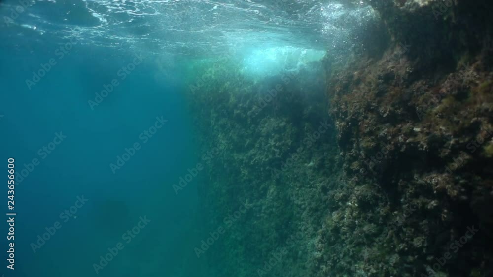 Video Stock An underwater cliff by the sea. A view of the depths of the ...