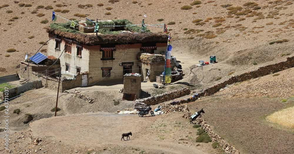 Traditional Ladakh house in north India Stock Video | Adobe Stock