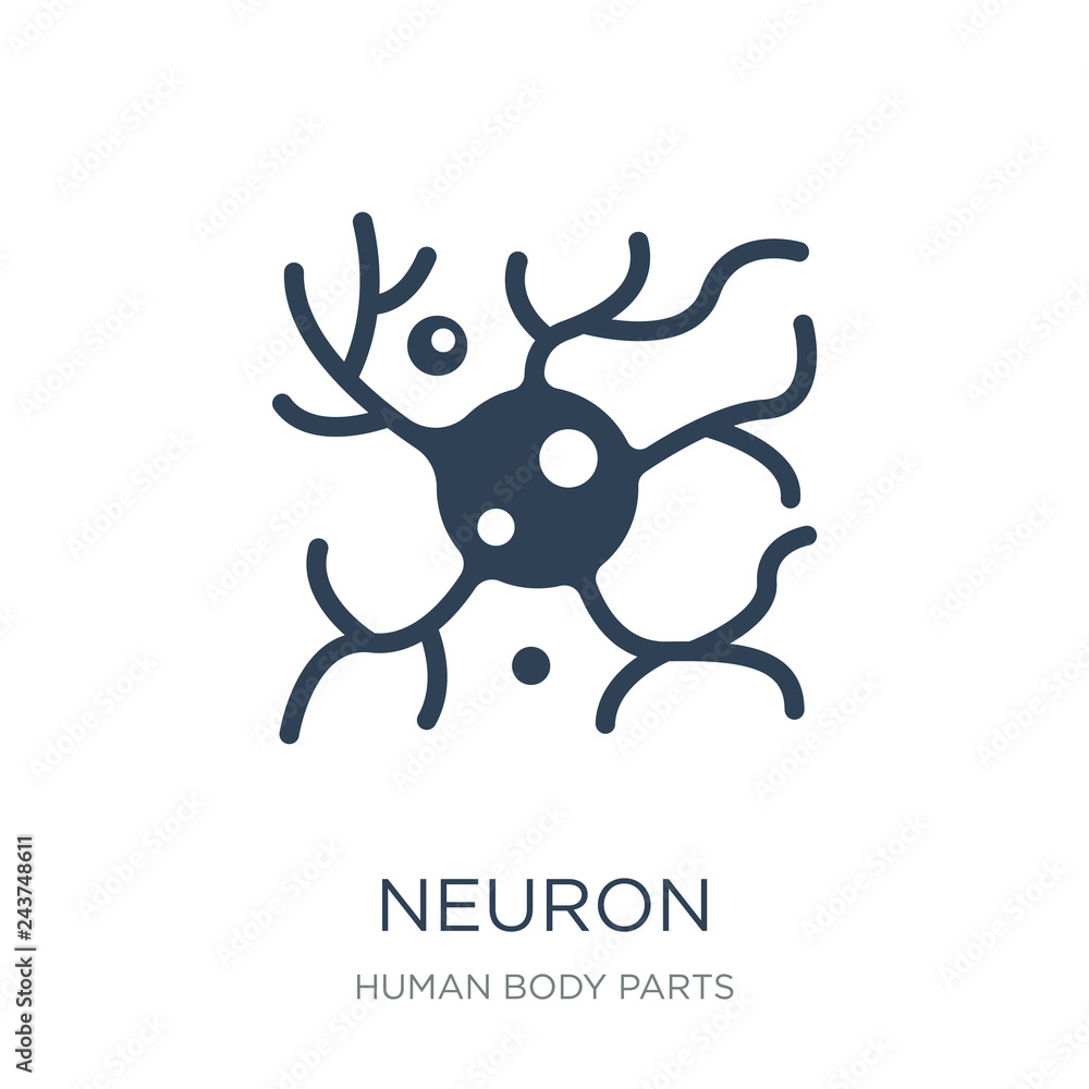 neuron icon vector on white background, neuron trendy filled ico Stock ...