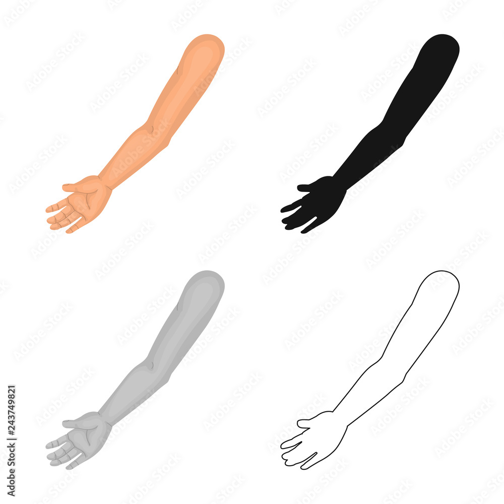 Vector design of body and part logo. Collection of body and anatomy ...