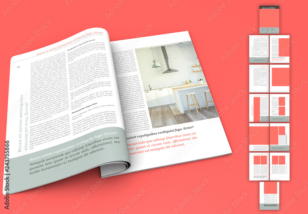 Magazine Layout with Gray and Coral Accents Stock Template | Adobe Stock