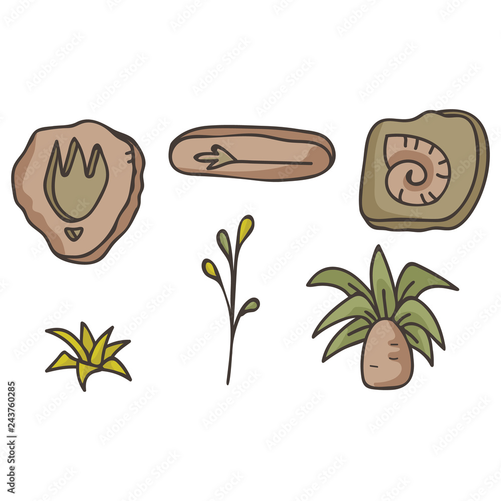 Prehistoric Fossil and Ancient Plant Vector Illustrations Stock Vector ...