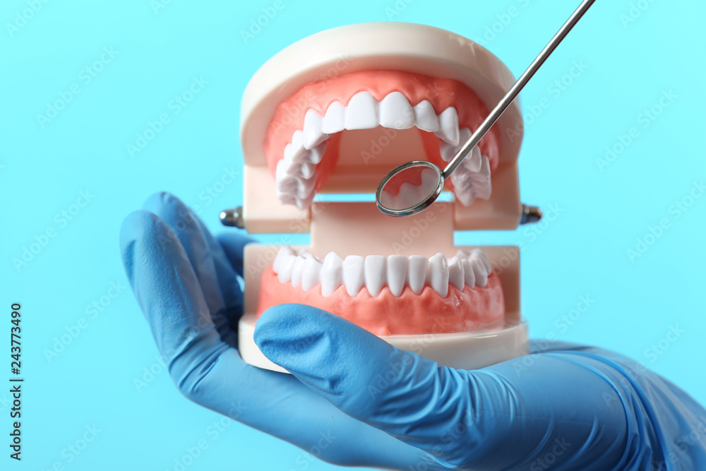 Dentist showing how to exam teeth with educational model of oral cavity ...