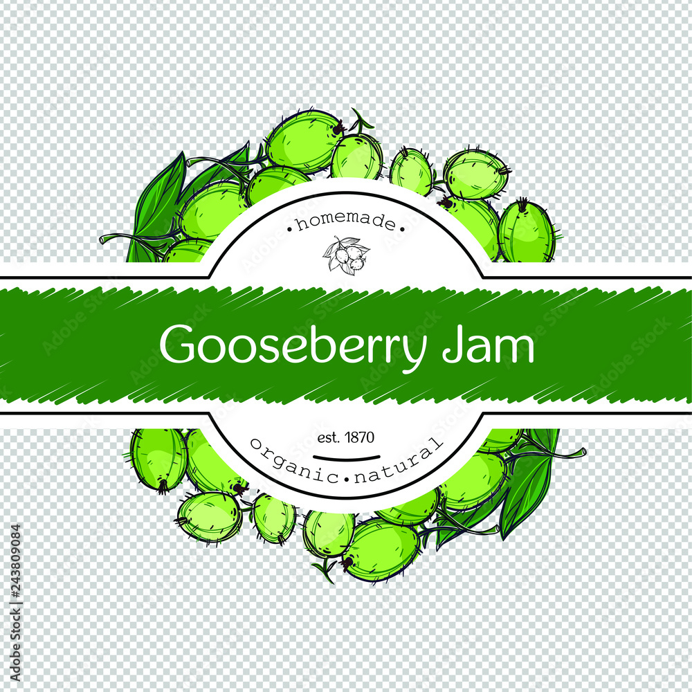 Hand-drawing gooseberry jam packing label design. Gooseberry logo ...