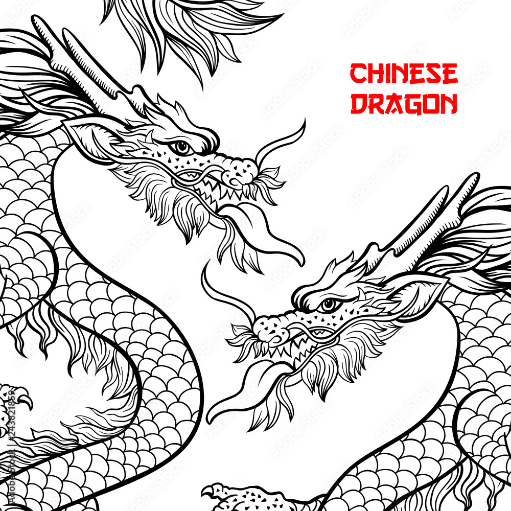 Two Chinese dragons hand drawn vector illustration. Mythical creature ...