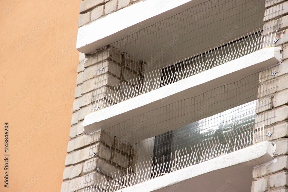 part of the facade of the building with plastic spikes against pigeons ...