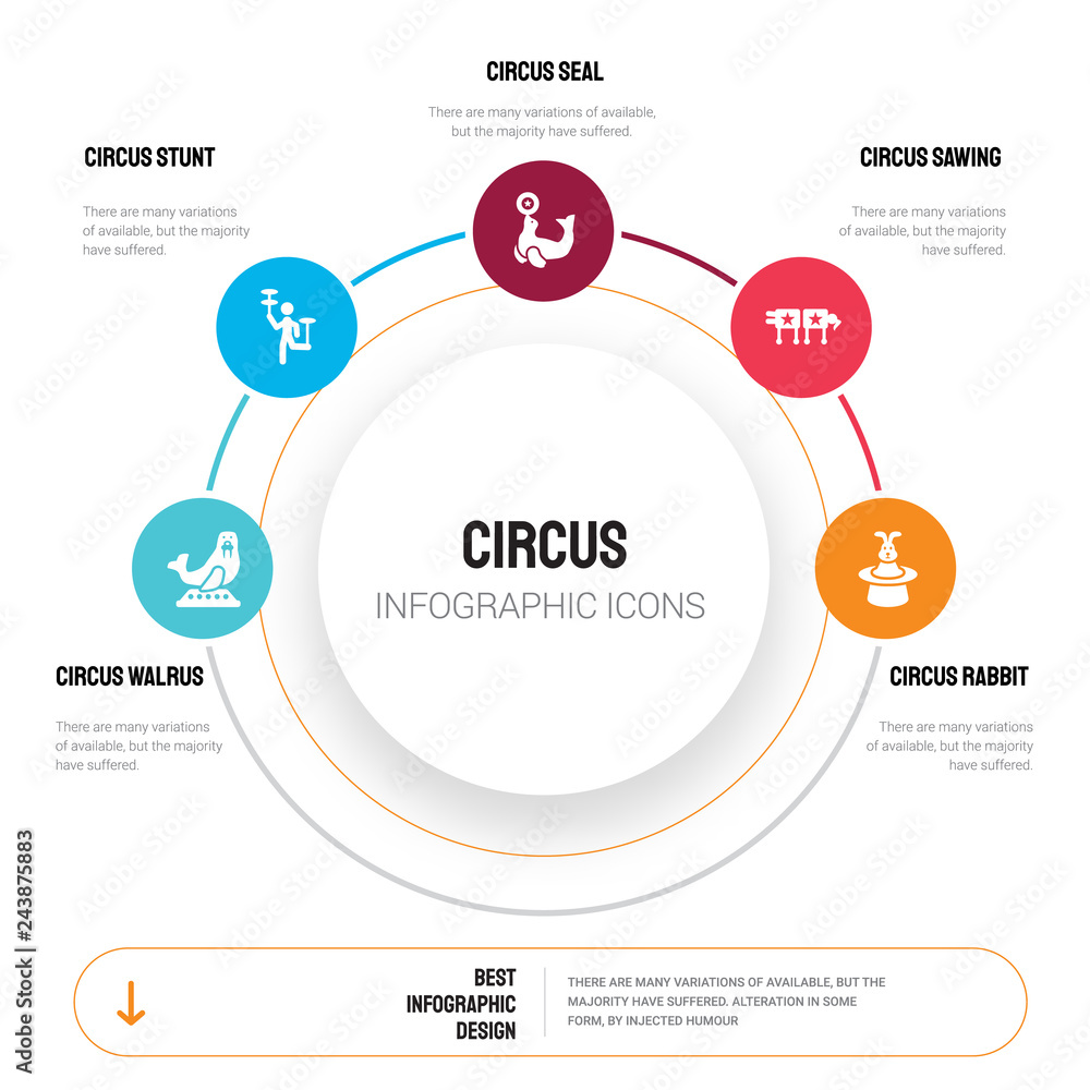 Abstract Infographics Of Circus Template Walrus Circus Stunt Seal