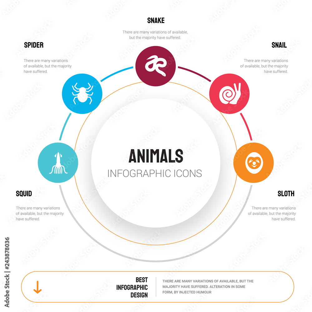 Abstract infographics of animals template. Squid, Spider, Snake, Snail ...