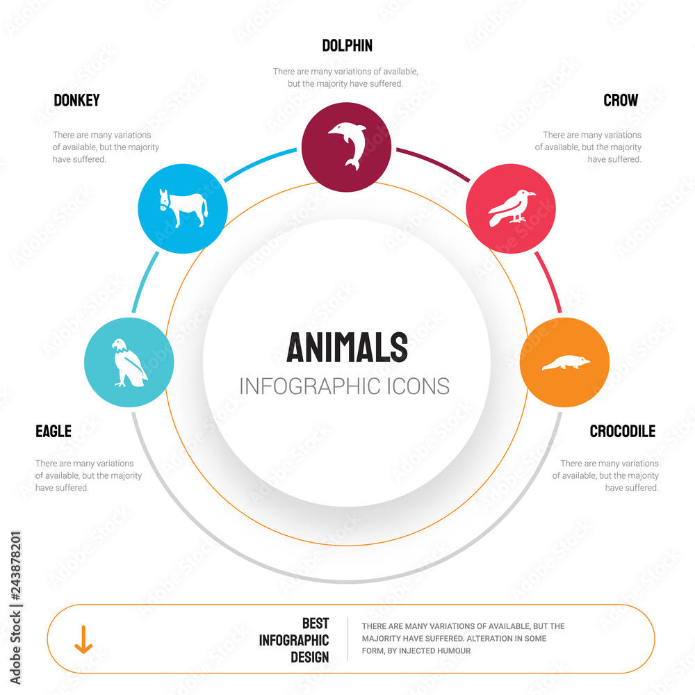 Abstract infographics of animals template. Eagle, Donkey, Dolphin, Crow ...