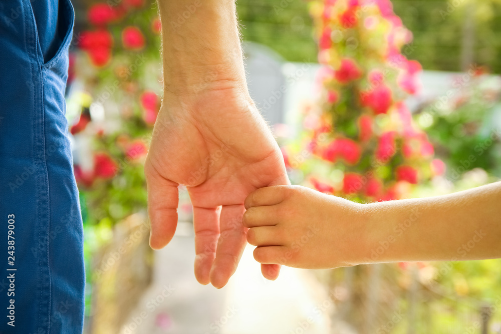 beautiful hands of a child and a parent in a park in nature Stock Photo ...