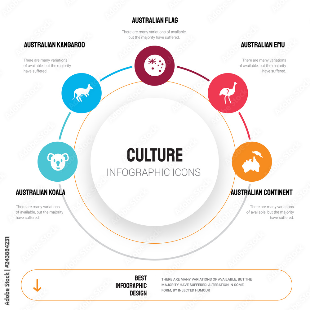 Abstract infographics of culture template. Australian Koala, kangaroo ...