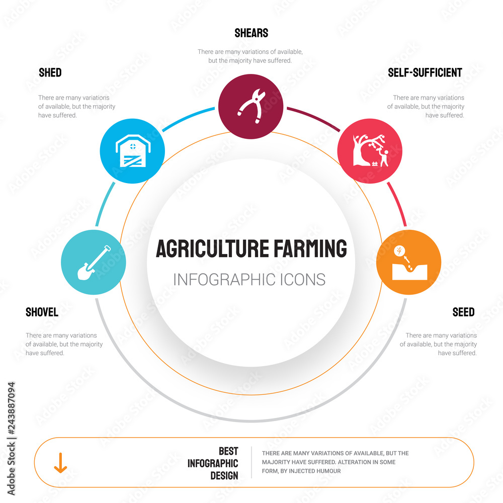 Abstract infographics of agriculture farming template. Shovel, Shed ...