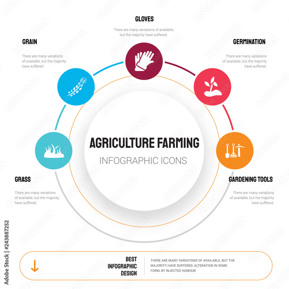 Abstract infographics of agriculture farming template. Grass, Grain ...