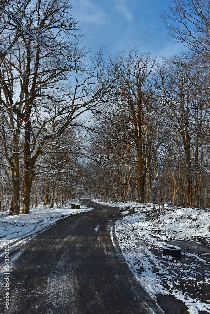 Sunny Winter Day No Snow