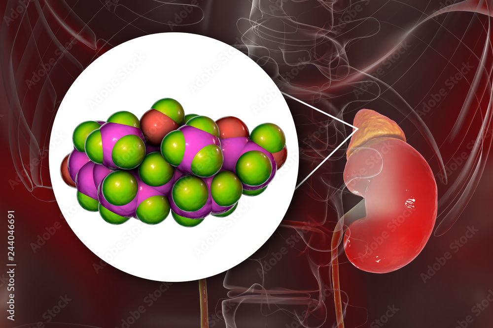 Molecule of cortisol hormone and adrenal gland, 3D illustration ...