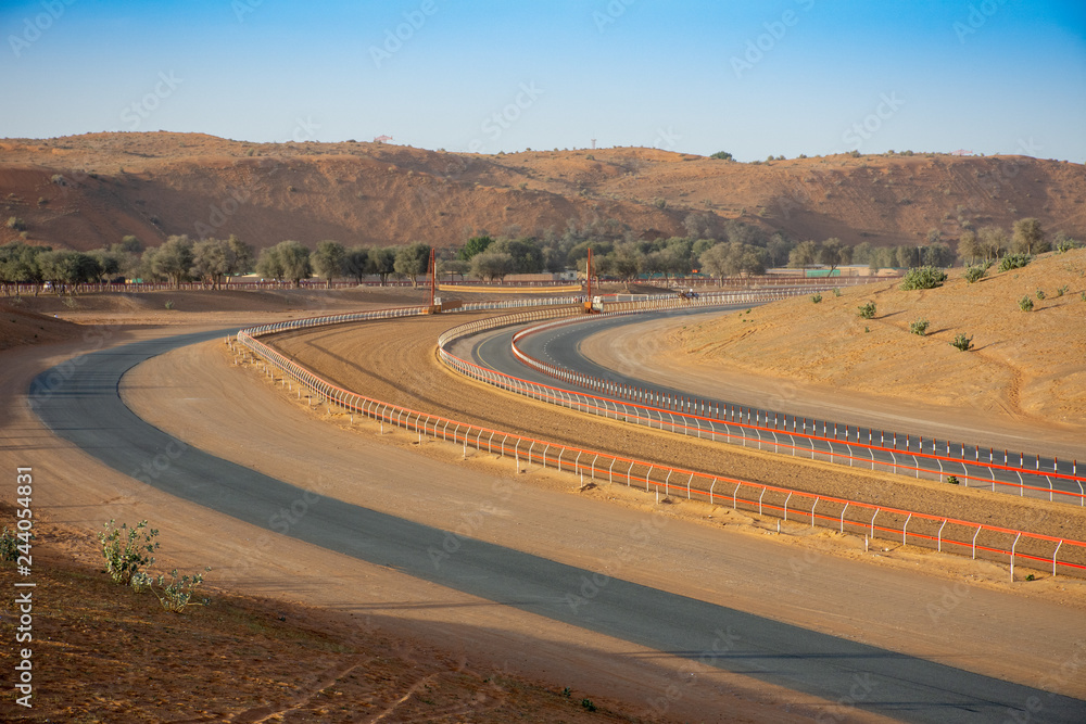 Camel Racing is an Arabian Gulf tradition. This camel race track shows ...